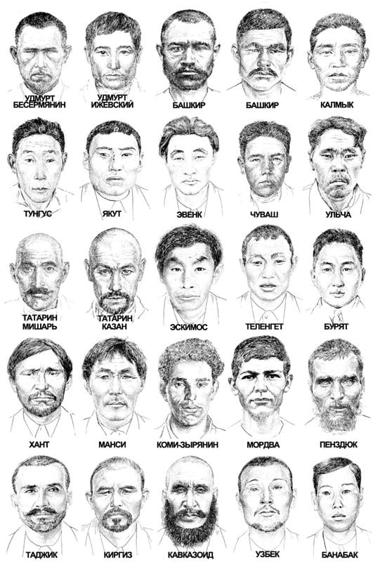 Different breeds of russians. Russians from different regions. - 9GAG