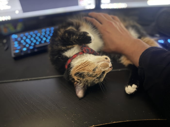 New mouse feels nice, but performance lacking. - 9GAG