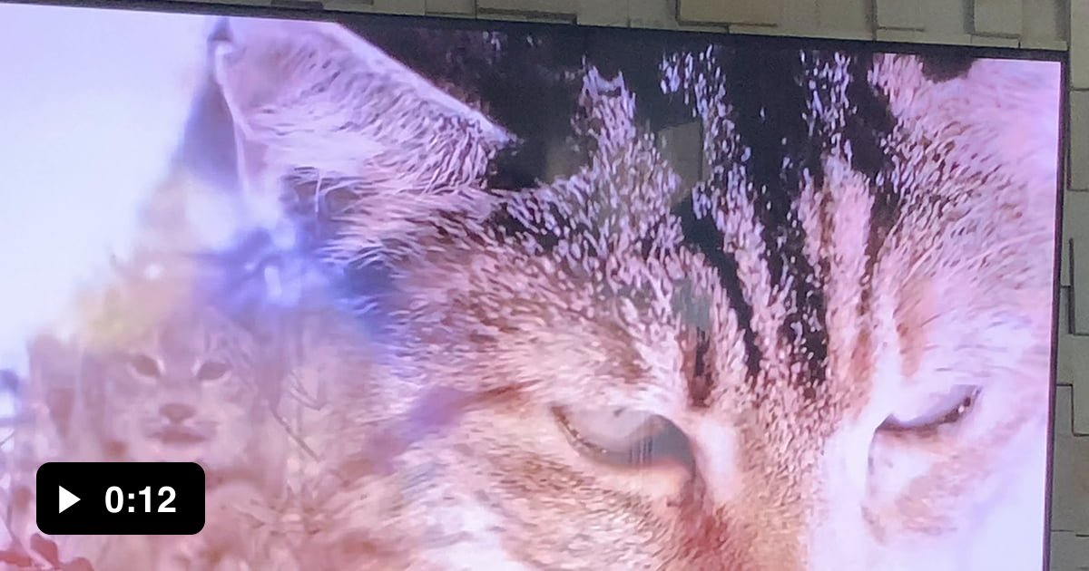 Someone wants to know more about her history! - 9GAG