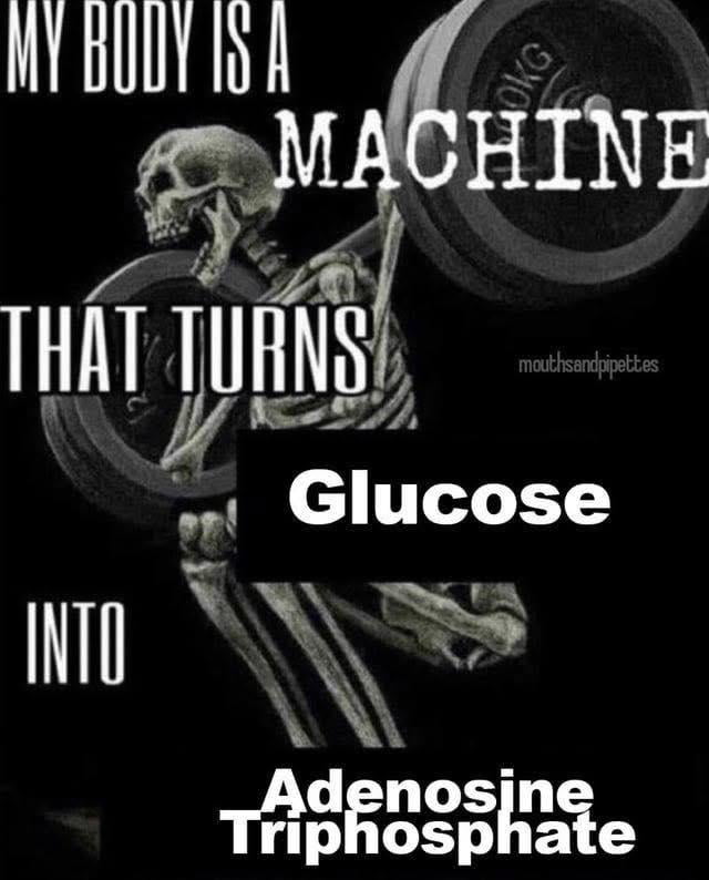 My body is a finely tuned energy-producing machine. - 9GAG