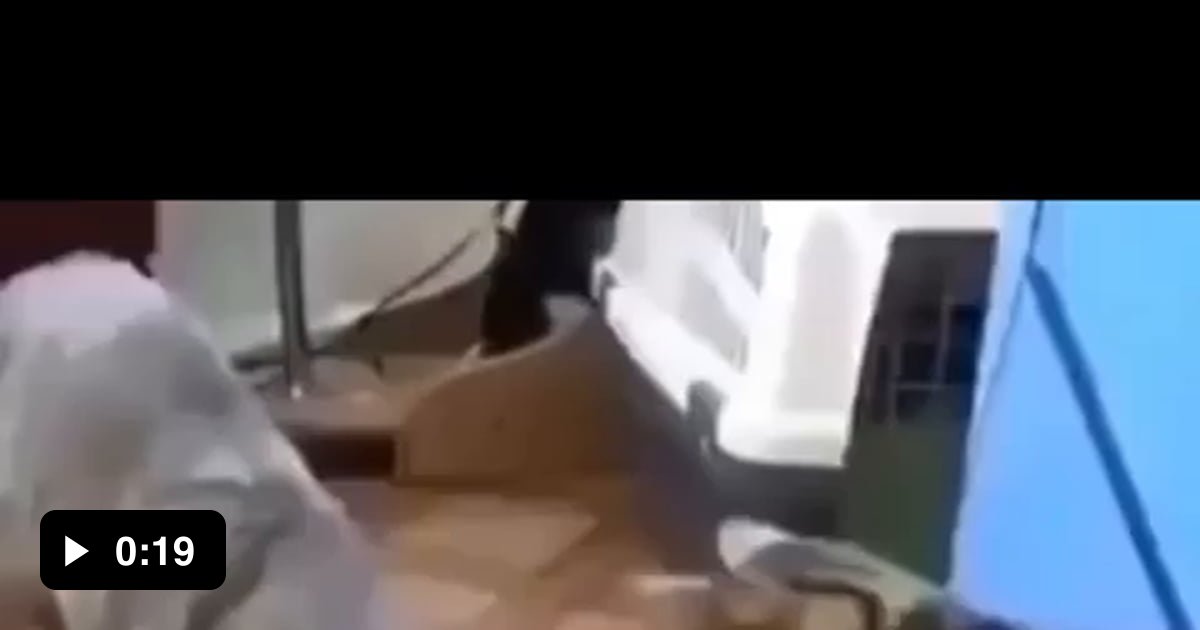 Reverse gato psychology - 9GAG