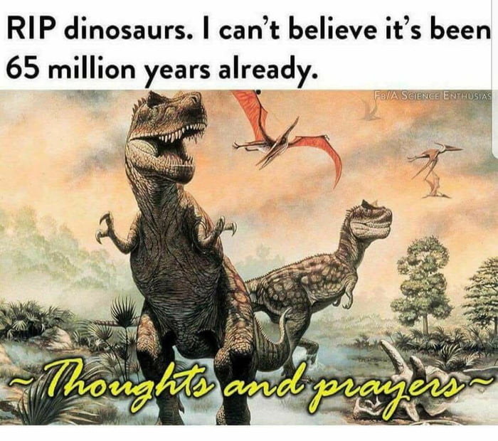 Thoughts and prayers - 9GAG