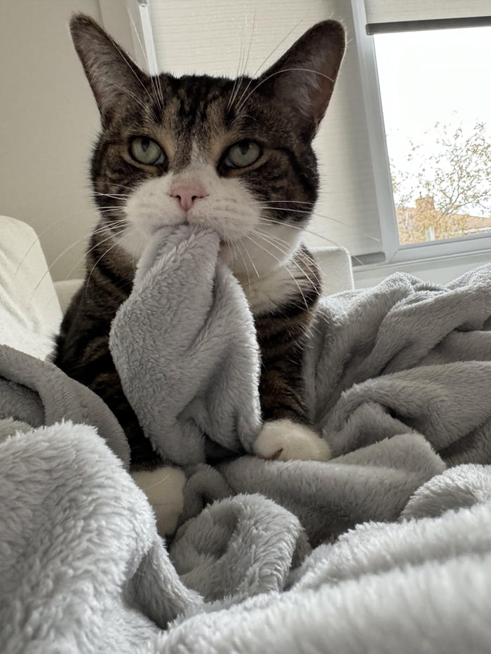 My grumpy old man is getting surgery tomorrow — pls wish him luck! - 9GAG