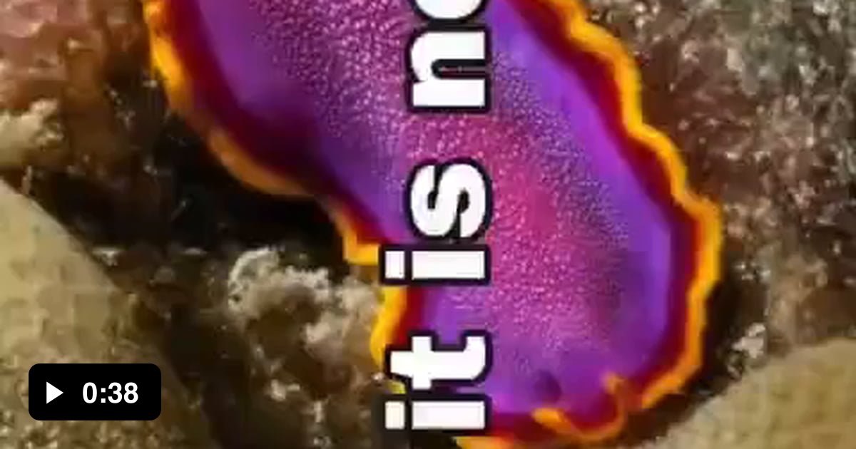 WEEK 145 OF FLATWORM FRIDAY!!!!! - 9GAG