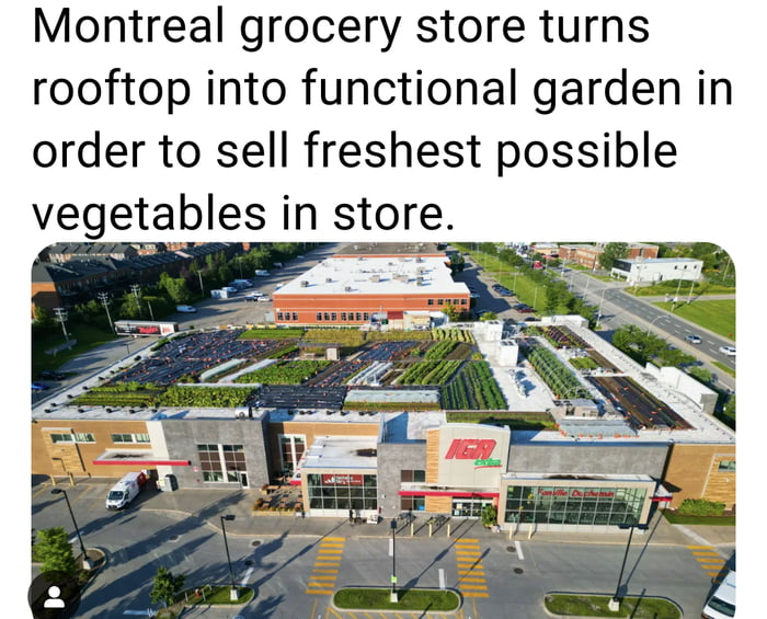 Michaela Thomas, a Swedish clinical psychologist, says I may be what is ...