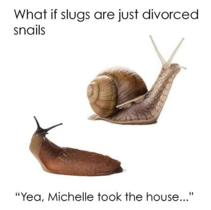 Slugs & Snails - 9GAG