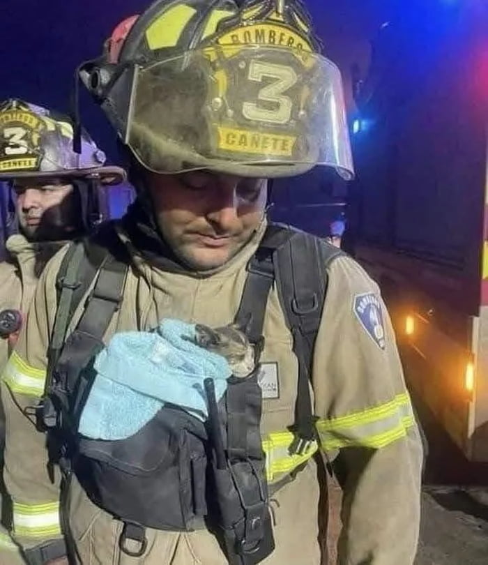 Firefighter from Mexico helping fight the Los Angeles fires with the kitten he rescued. - 9GAG