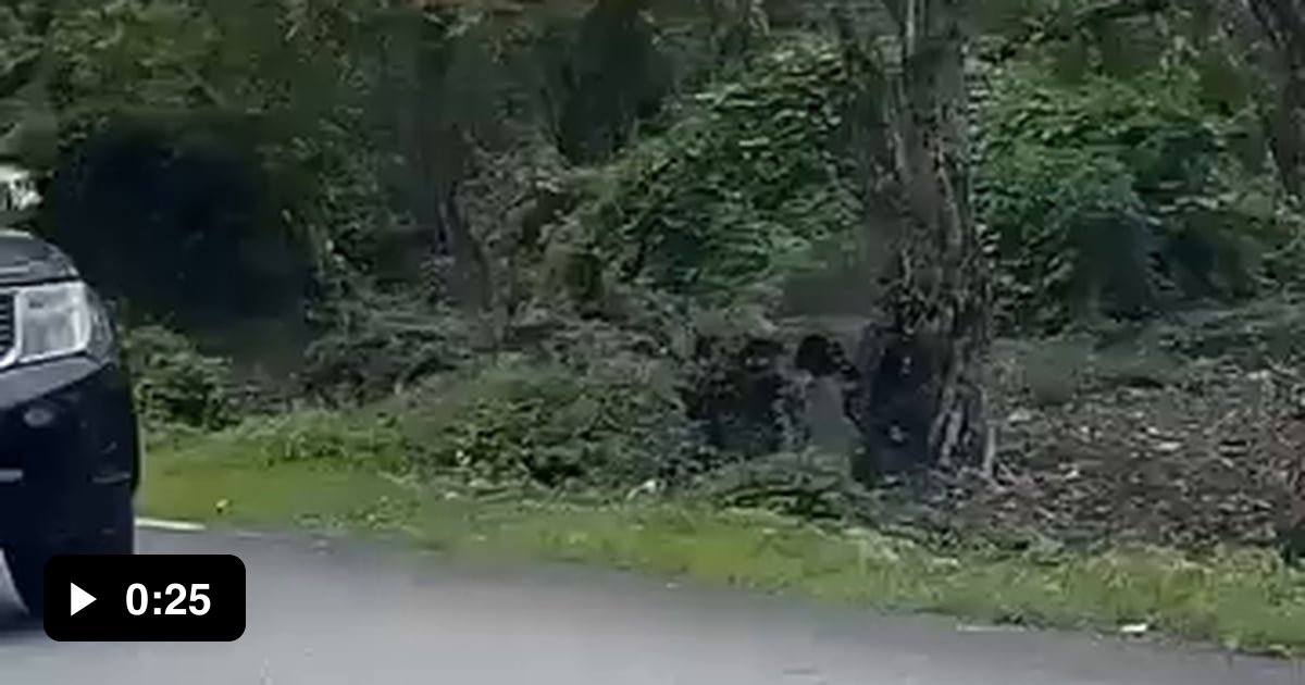 Completely Normal Phenomenon - 9GAG