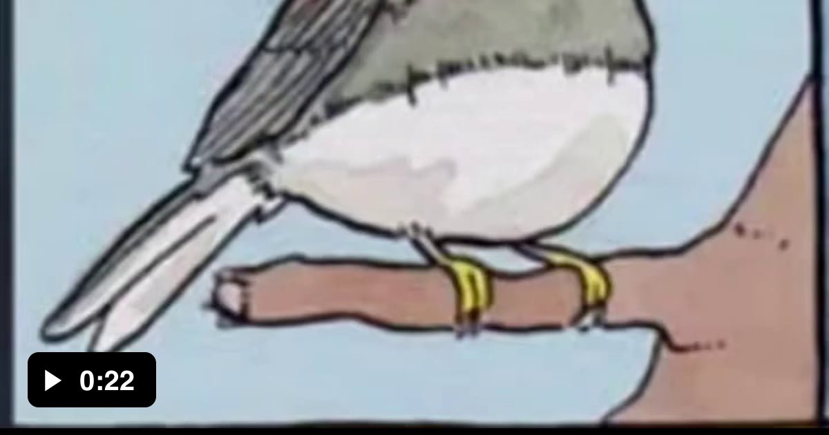 Ayo ayo ....... - 9GAG