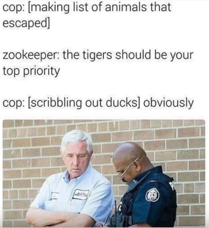 Yeah......obviously..... - 9GAG