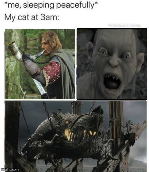 Nice kitty .. - 9GAG