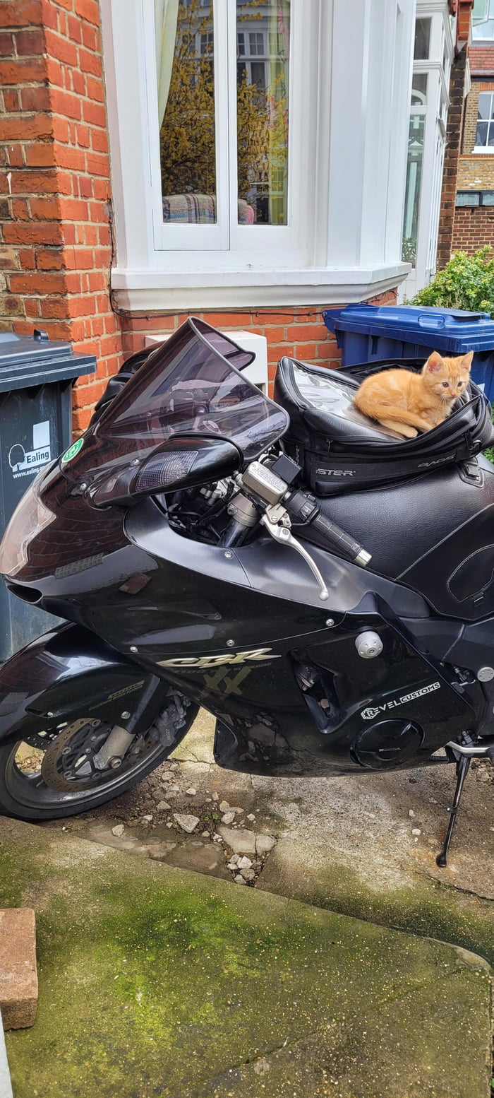 Meowchanic says you've got some wheel shimmy at 120mph but everything ...