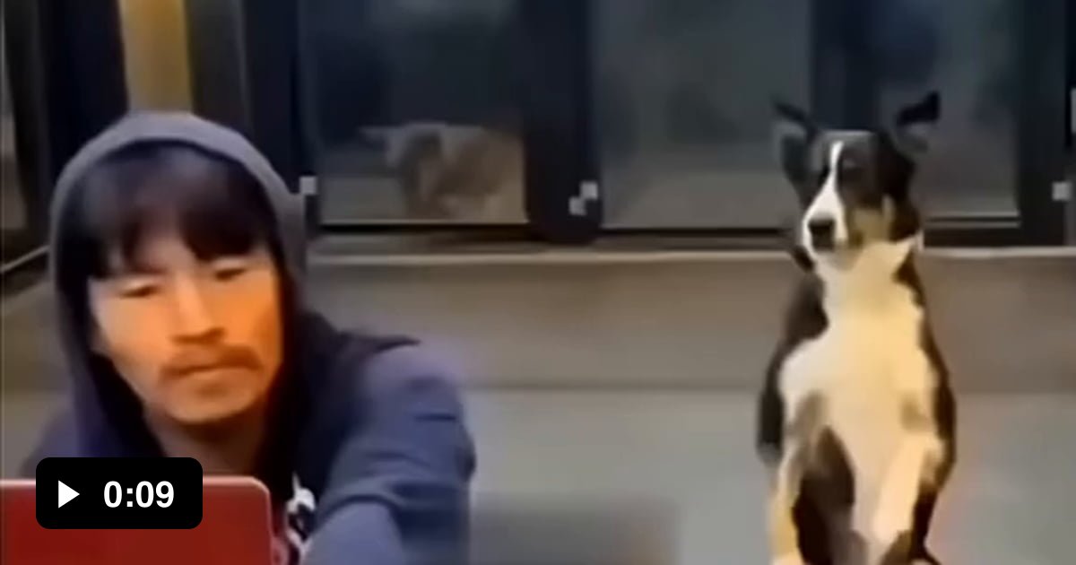 Perfect reflex - 9GAG