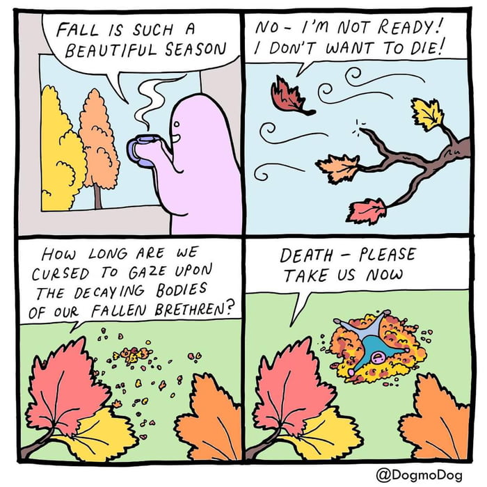 The beauty of autumn - 9GAG