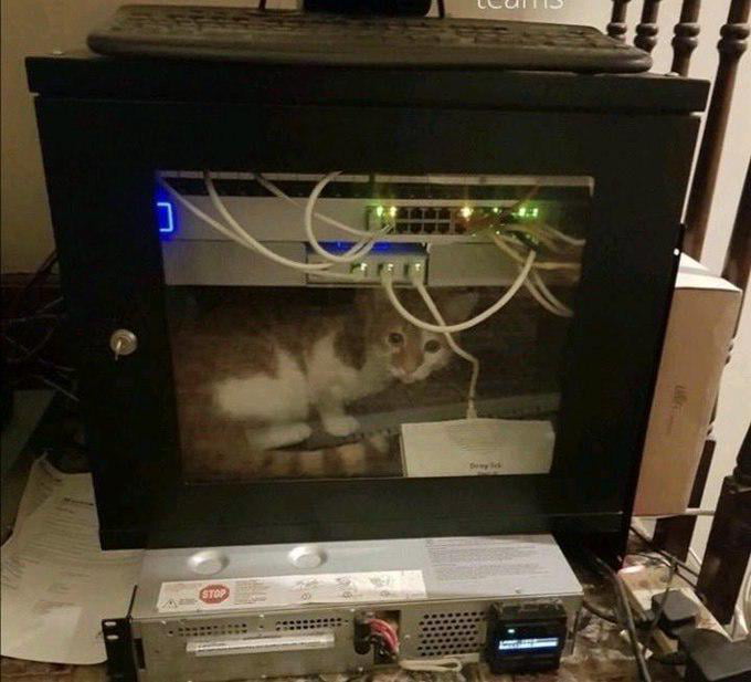 Netcat listening on 80-port - 9GAG