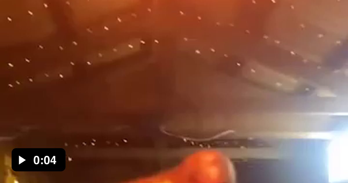 Mating Dance? A resounding YES for me but alas - 9GAG