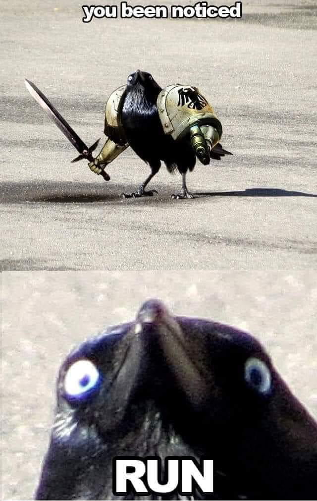 POV: you're logar trying to hide from corvus corax in the warp - 9GAG