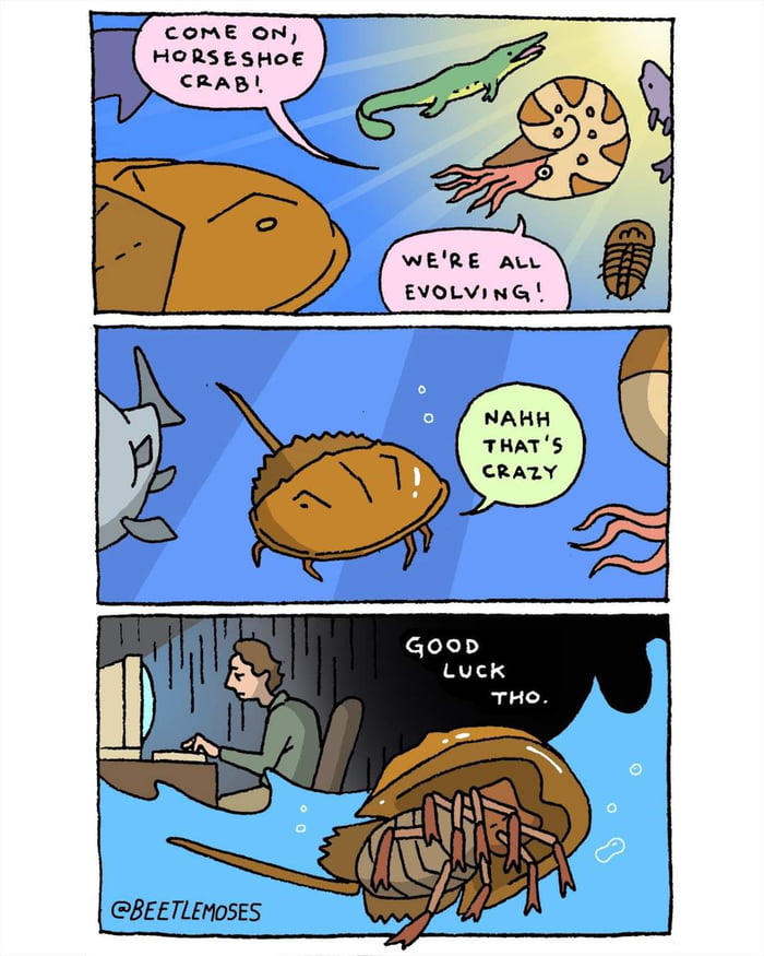 Tooooooo Way ahead of time. By : beetlemoses - 9GAG