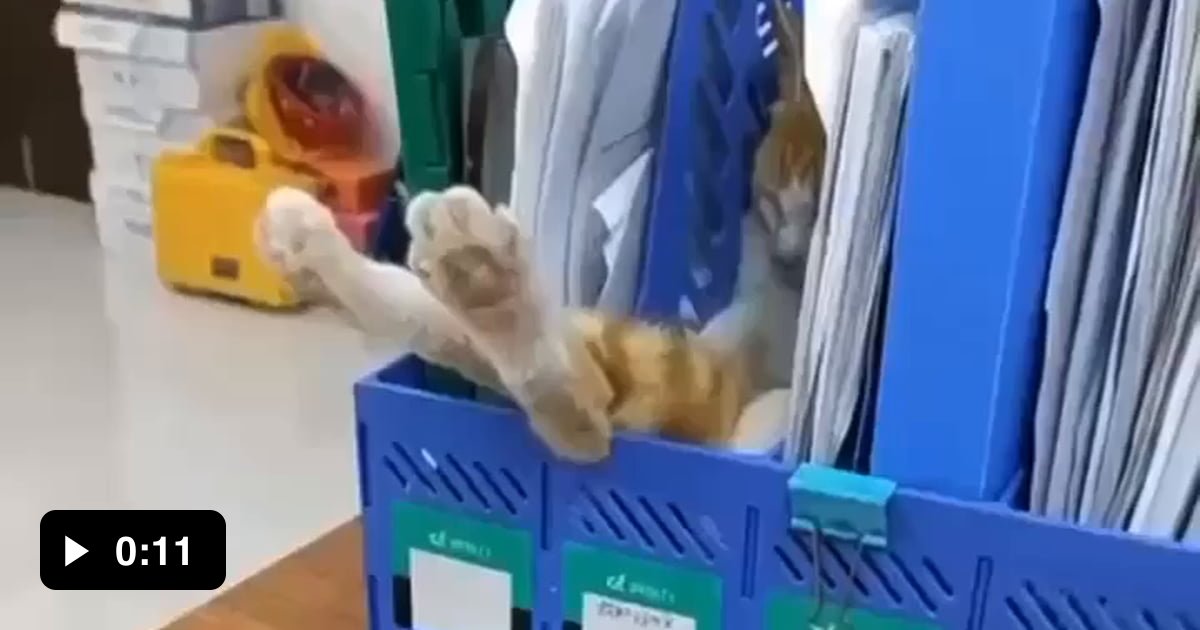 Wanted to sneak in a nap - 9GAG