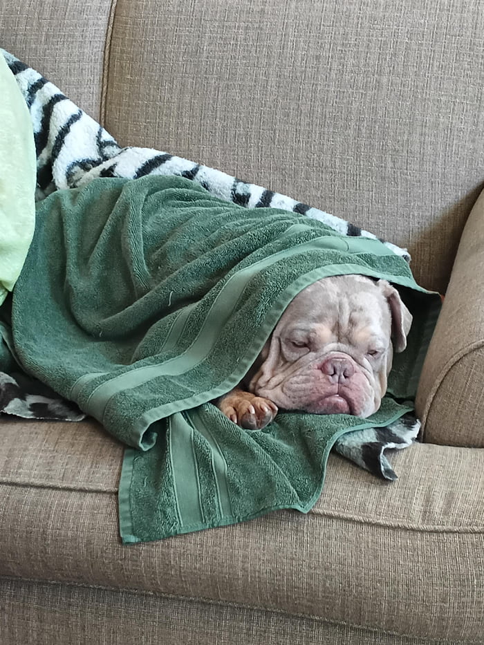 Just finished bath time - 9GAG