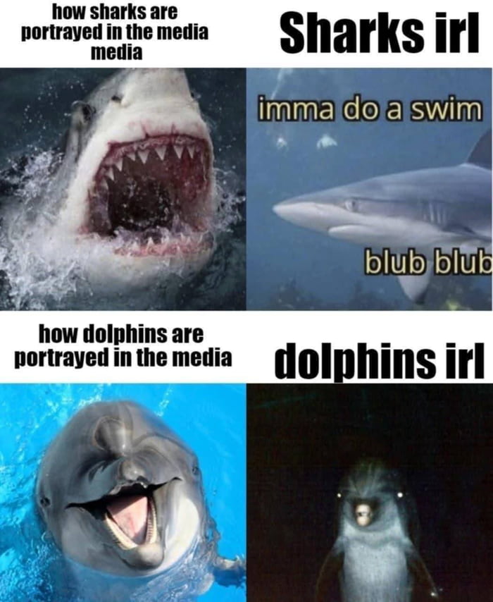 Dolphin the rapists of the sea - 9GAG