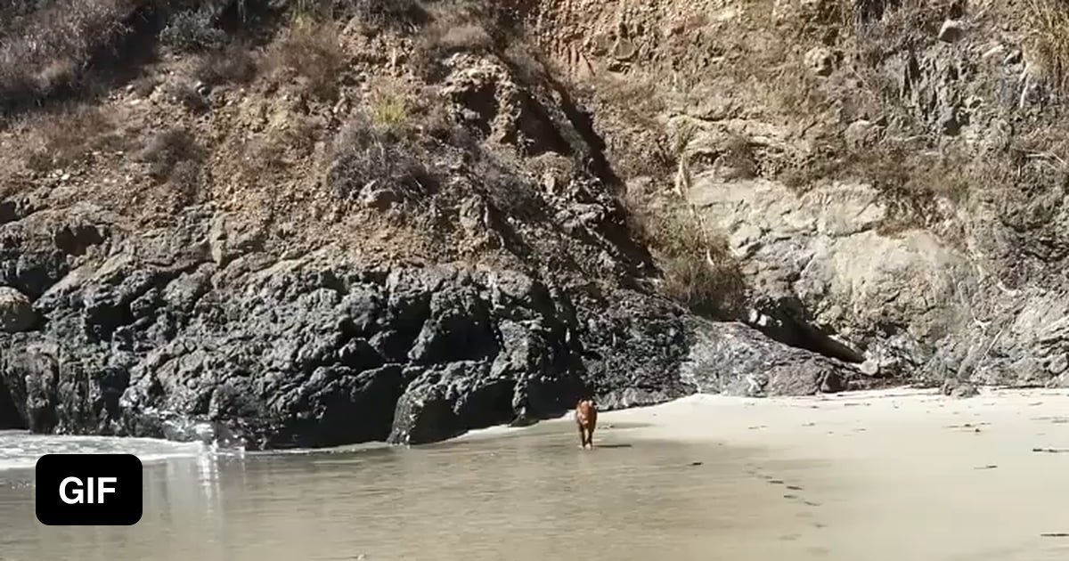 Running on the beach - 9GAG