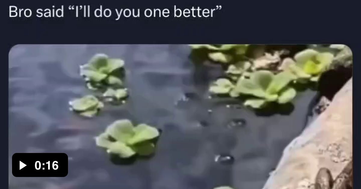 It is Wednesday my dude - 9GAG