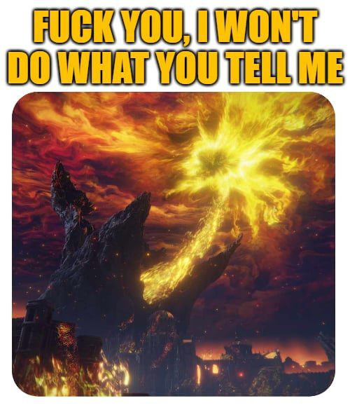 When choosing your Elden Ring ending - 9GAG