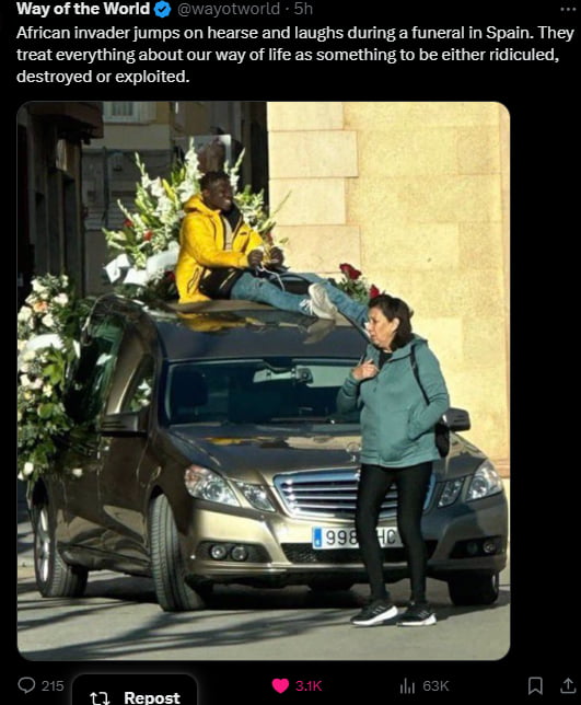 It jumped on a hearst at a funeral procession and started laughing and ...