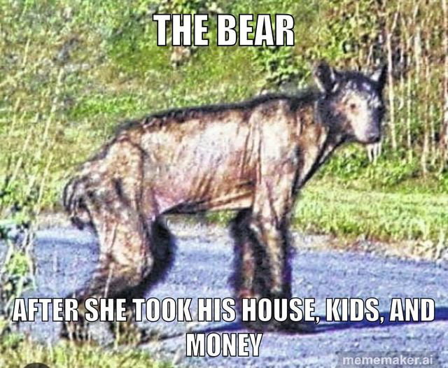 Poor bear - 9GAG