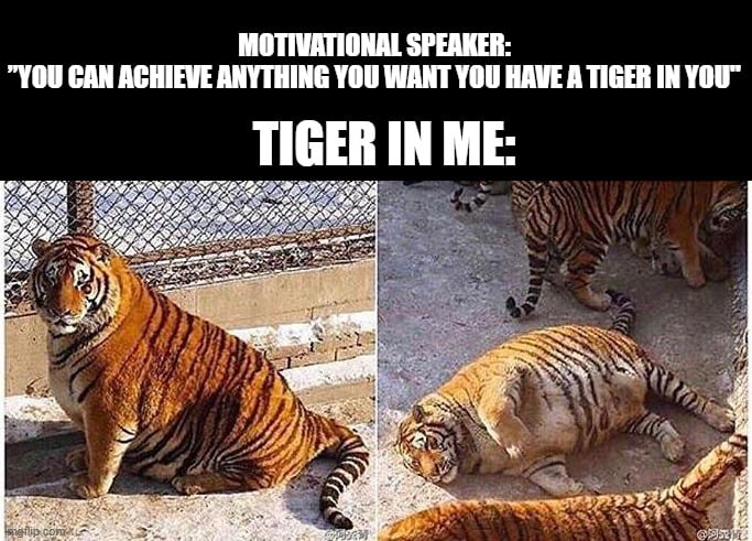 Eye of the tiger intensifies - 9GAG