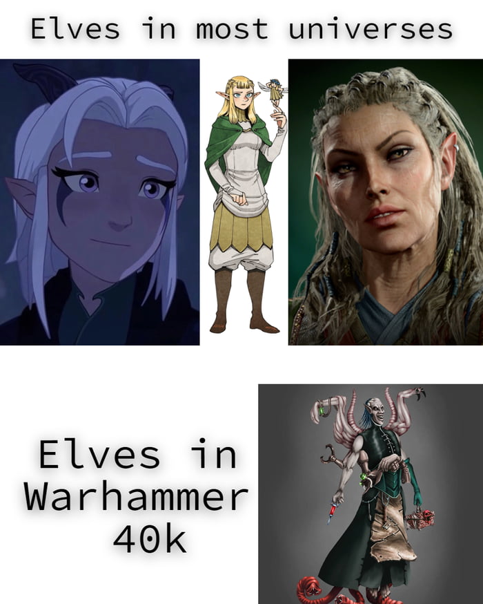 Maybe this is why we don't see many half elves in 40k - 9GAG