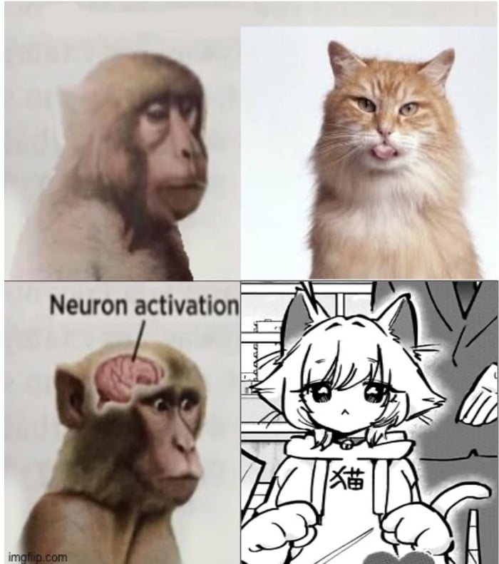 Neuron activation - 9GAG
