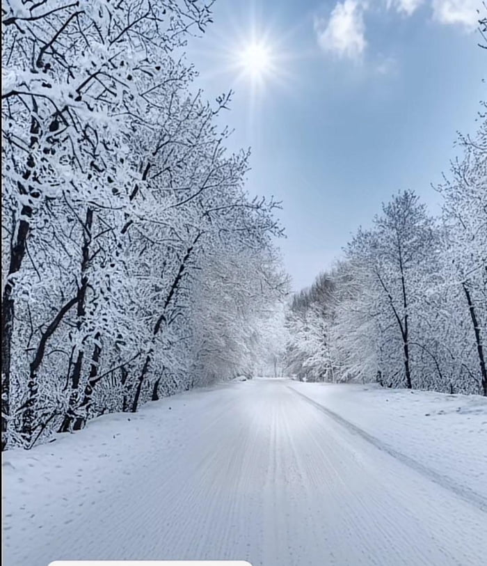West Michigan winter looks so beautiful when the snow is freshly fallen ...