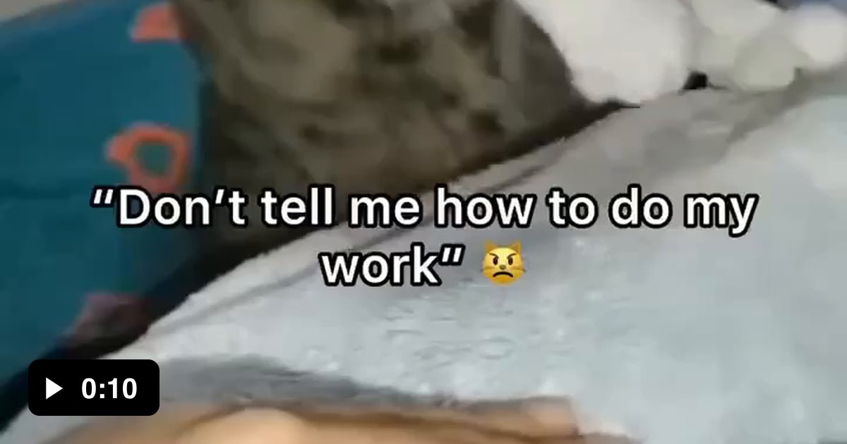 All About Cats - 9GAG