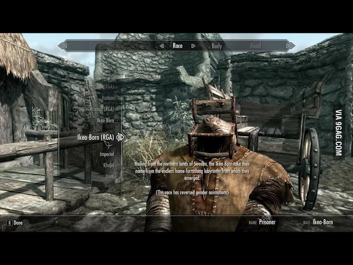 This is hands down the best Skyrim mod ever. - 9GAG