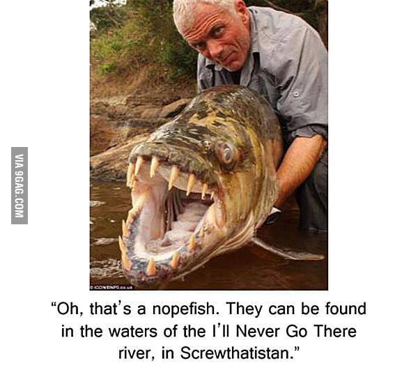 Nopefish - 9GAG