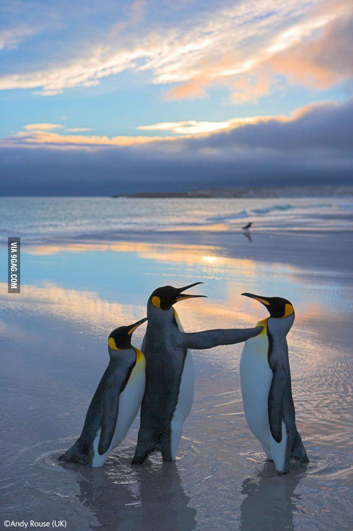 You just wait one second bub - 9GAG