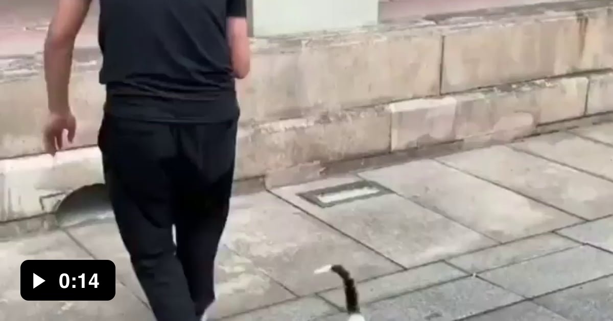 Strike a pose - 9GAG