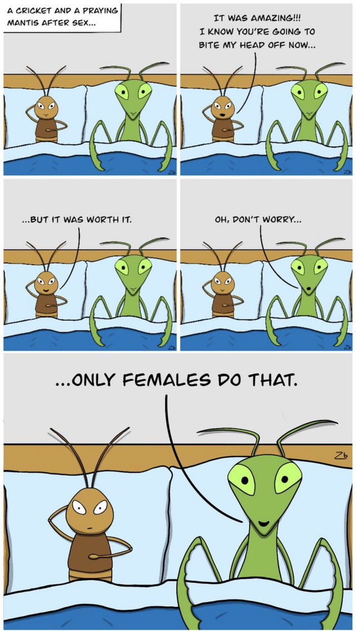 Confusion of the highest orda - 9GAG