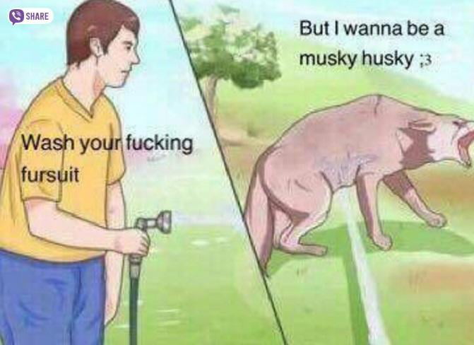 Musky husky - 9GAG