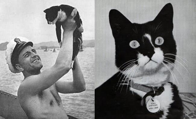"Unsinkable Sam" is the nickname of a ship's cat who served during ...