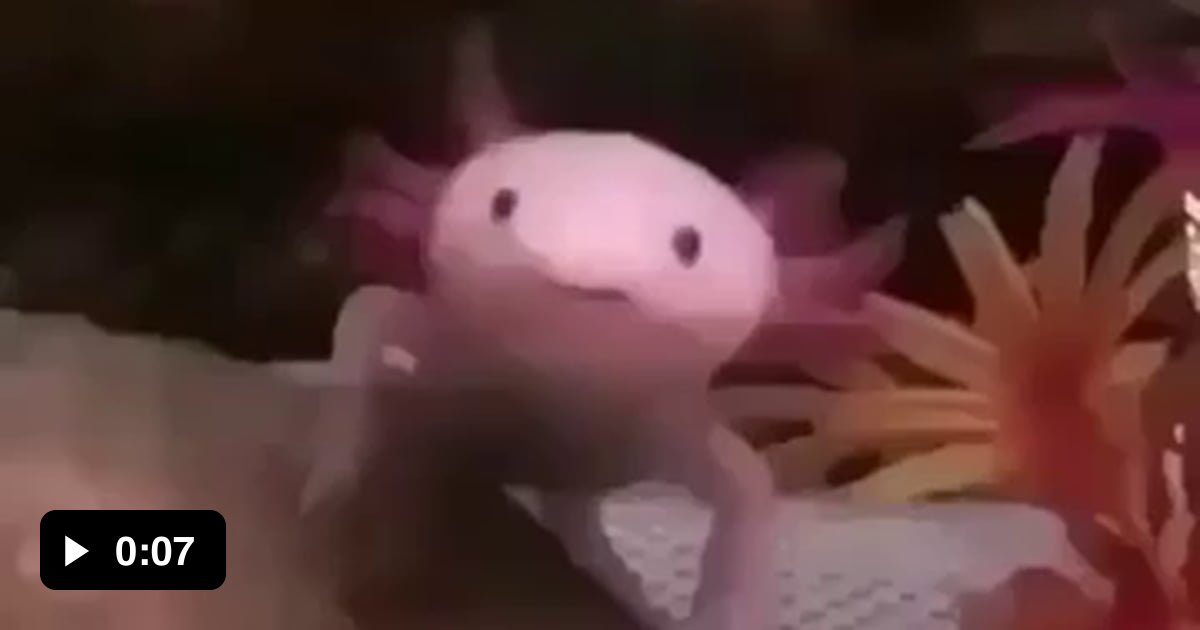 What an Axolotl sounds like. - 9GAG
