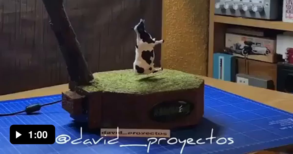 Levitating Cow - 9GAG