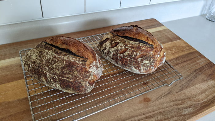 First attempt at making sourdough bread. - 9GAG