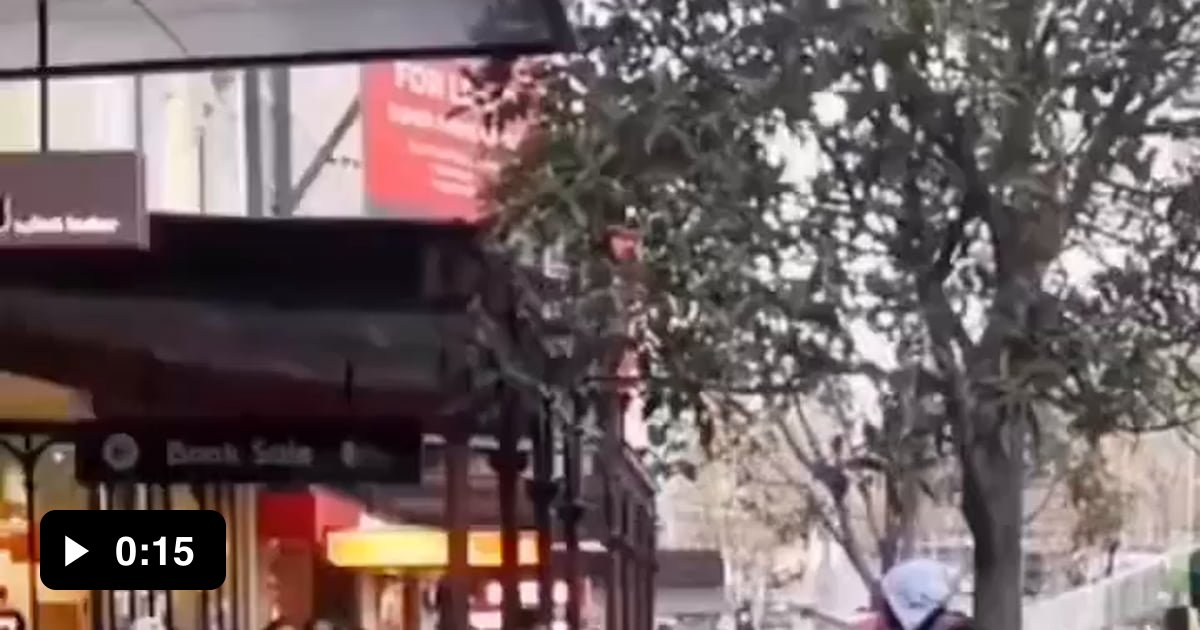 Just a pigeon vibing with the beat - 9GAG