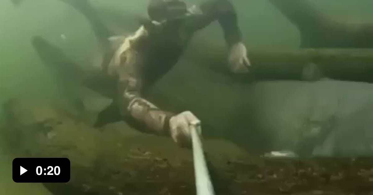 That’s a big Boi - 9GAG