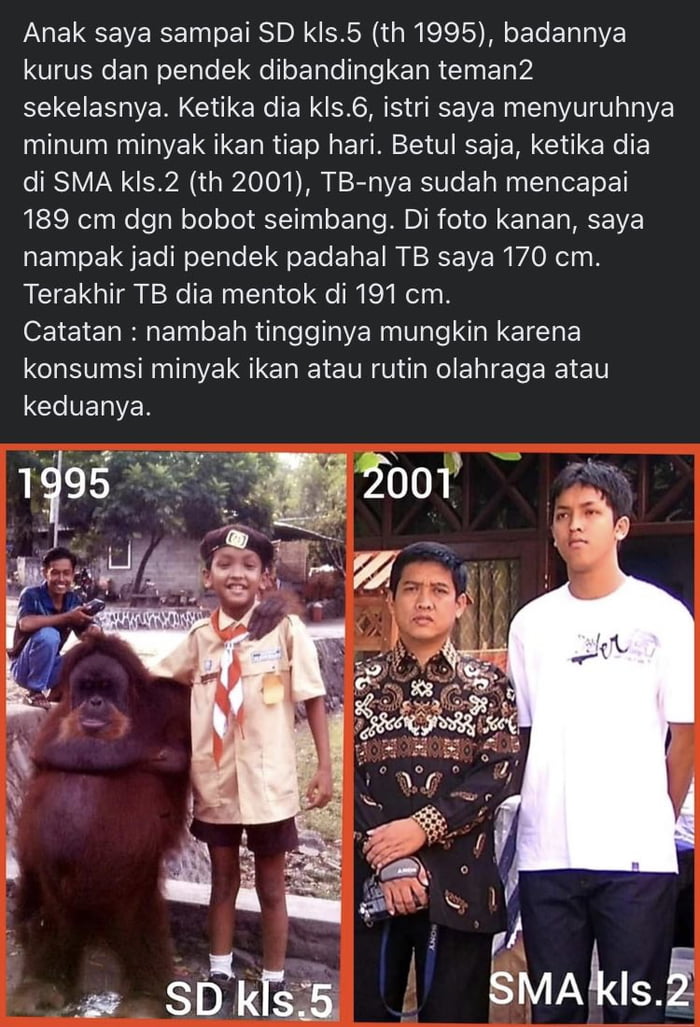 Minyak ikan rahasia tumbuh tinggi - 9GAG