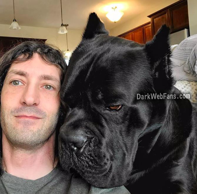 Bruce wayne is a big snuggly cane corso - 9GAG
