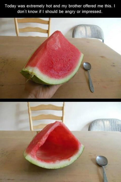 I love melons! - 9GAG